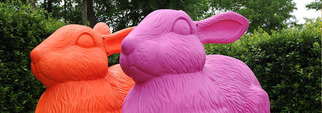 Domus Borghese Roma - Domus Borghese